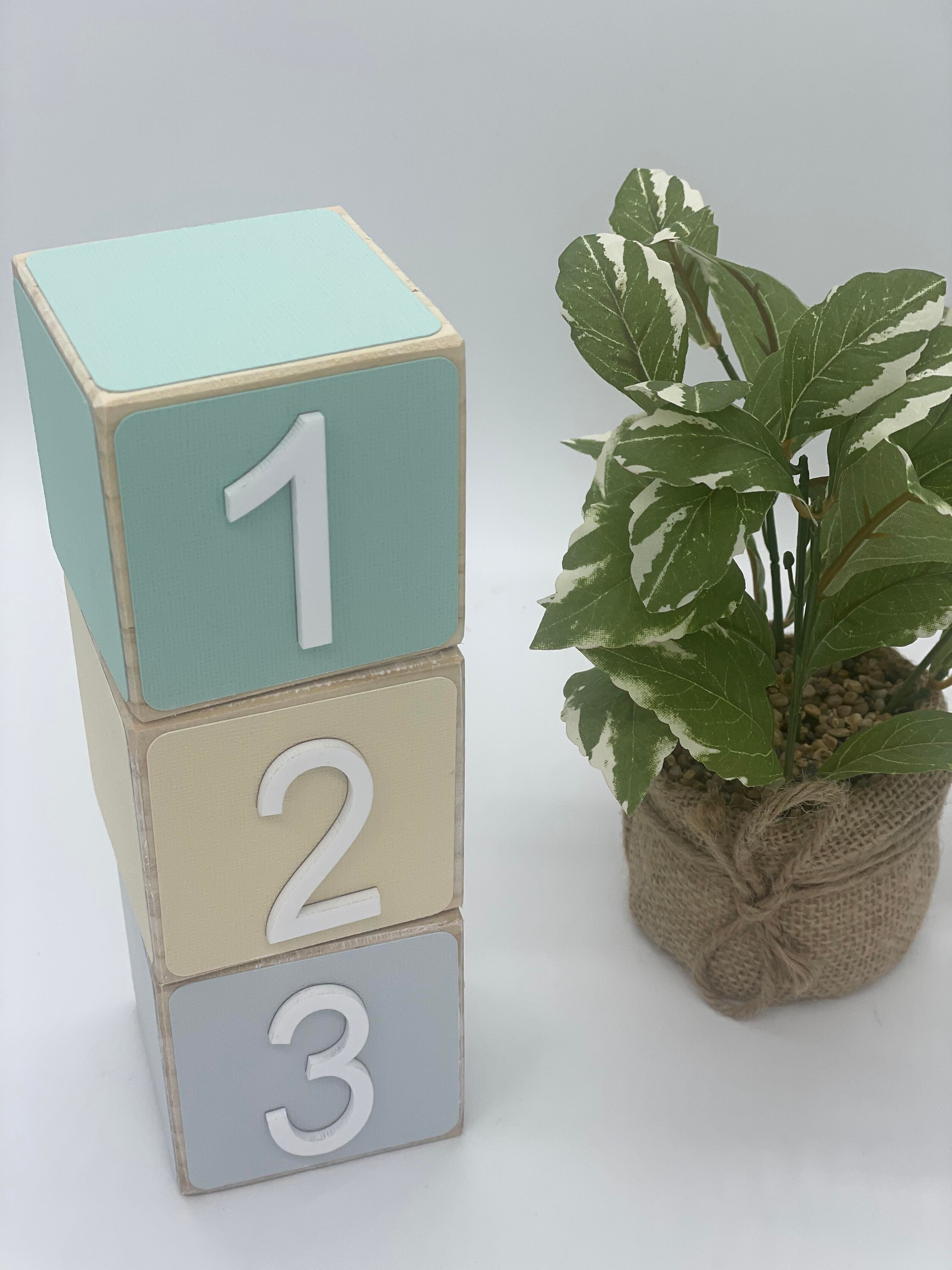 123 Block Set – Bons blocks and laser crafts